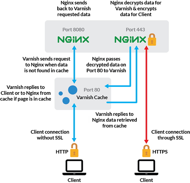 Use Varnish & NGINX to Serve WordPress over SSL & HTTP on Debian 8 ...